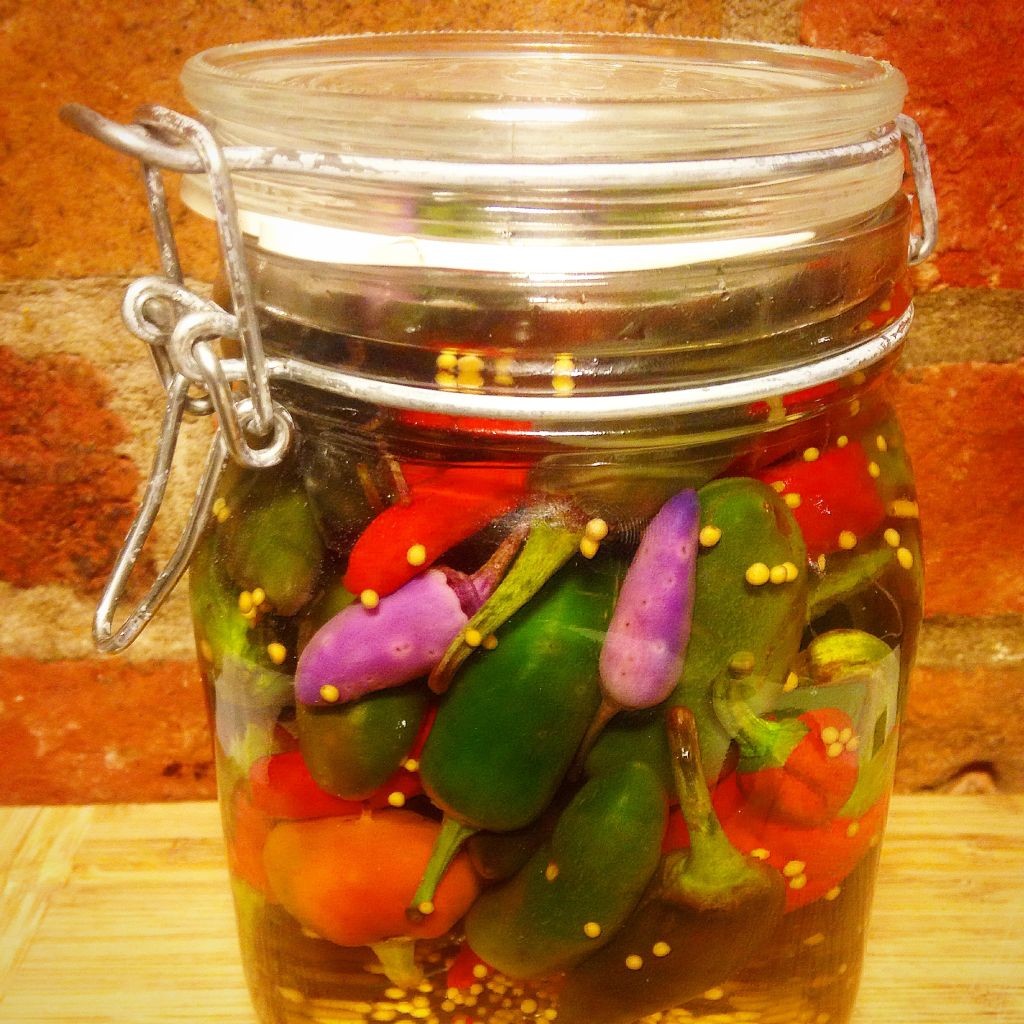 Inlagd hel chili | BBQLovers.se